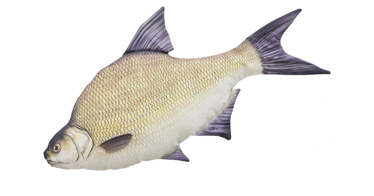 Gaby Plyšová Ryba Cejn Velký 65 cm