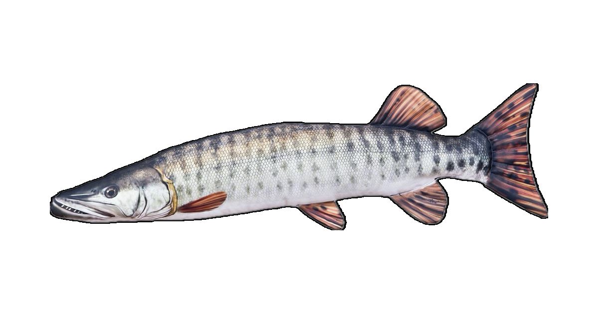 Gaby Plyšová Ryba Muskie Štika Americká 80 cm