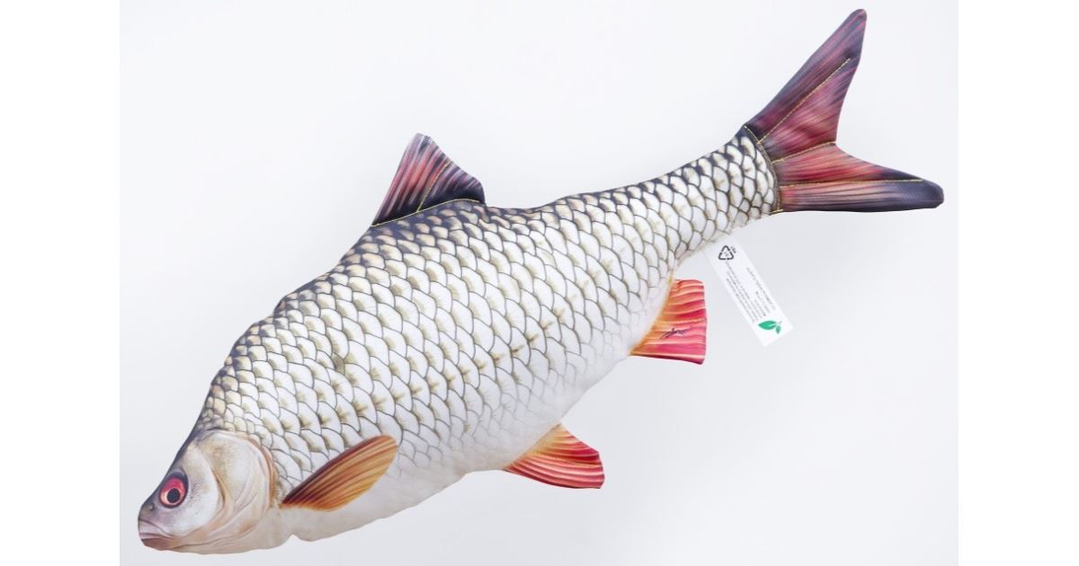 Gaby Plyšová Ryba Plotice Obecná 52 cm