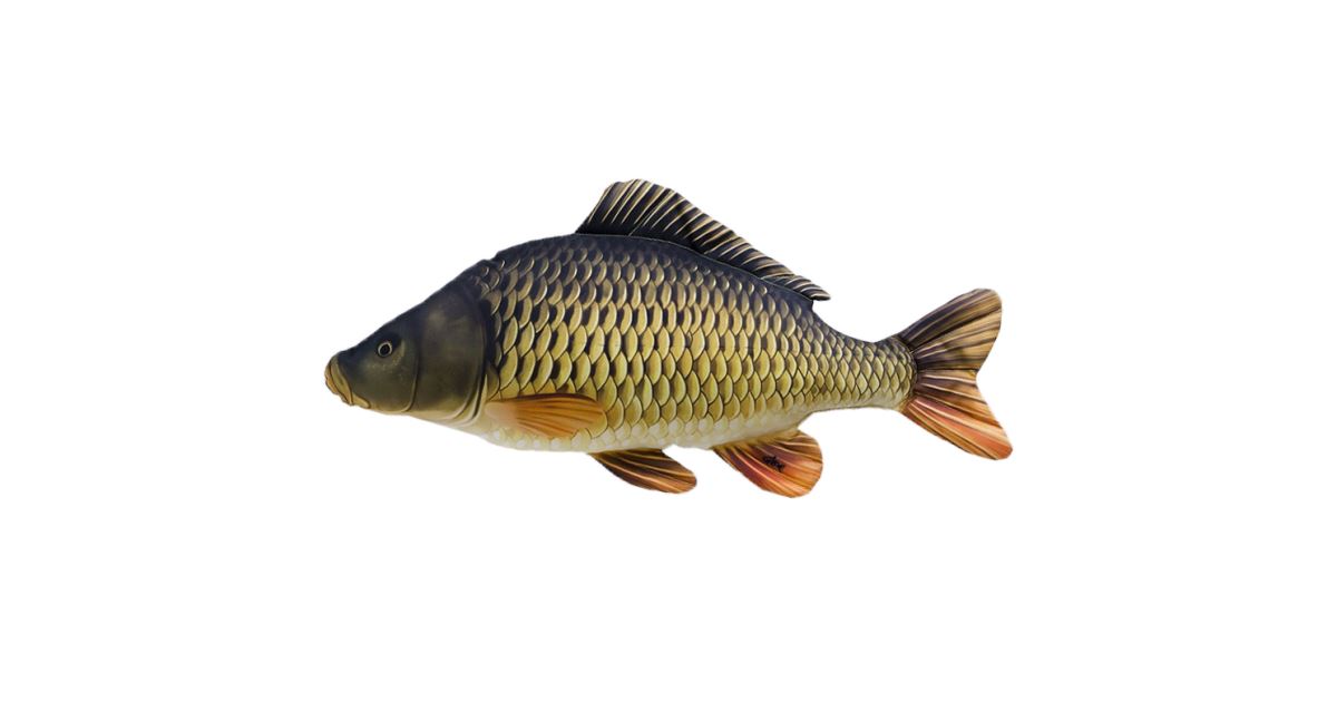 Gaby Plyšová Ryba Kapr Šupináč Mini 36 cm