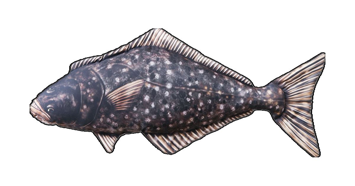 Gaby Plyšová Ryba Halibut 72 cm