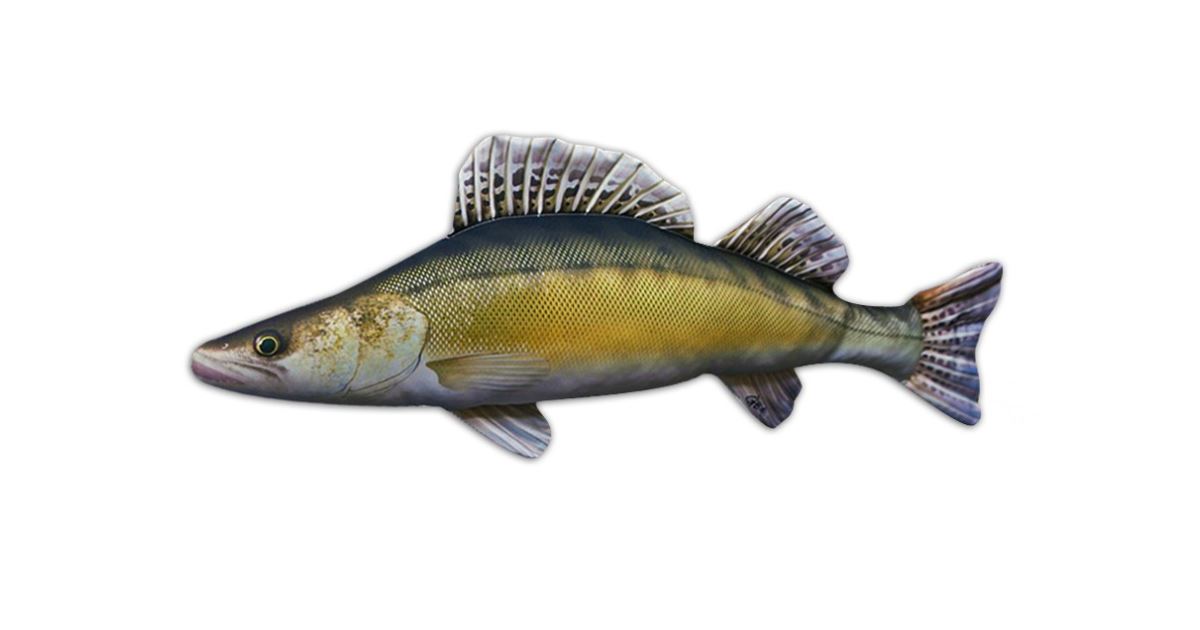 Gaby Plyšová Ryba Candát 75 cm